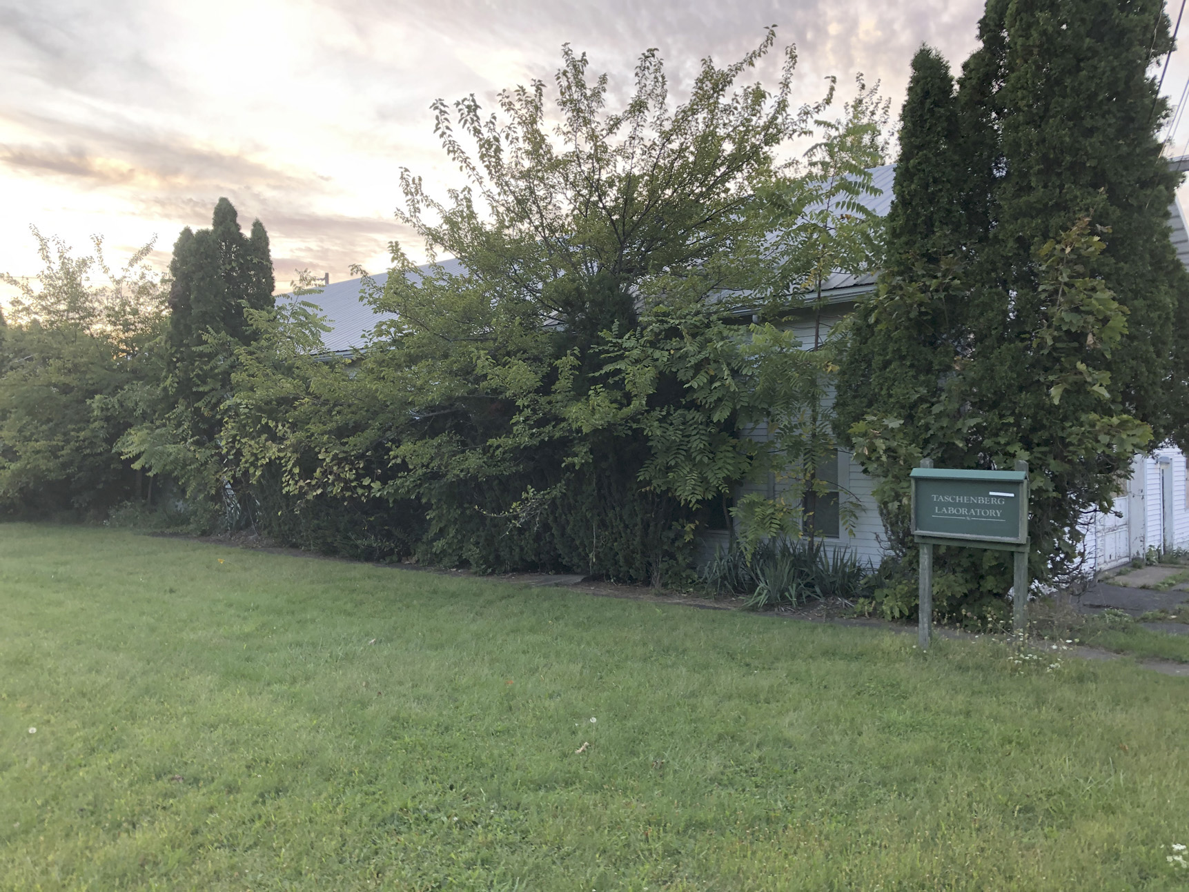 Brooks in ‘waiting’ mode before build | News, Sports, Jobs - Observer Today